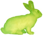 WHY RABBITS ARE GREEN | Rise and Shine Rabbitry